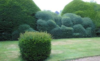 Bramdean House Garden in Bramdean Fotogalerie Fotos Bilder von unseren ...