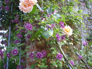 Bramdean House Garden in Bramdean Fotogalerie Fotos Bilder von unseren ...