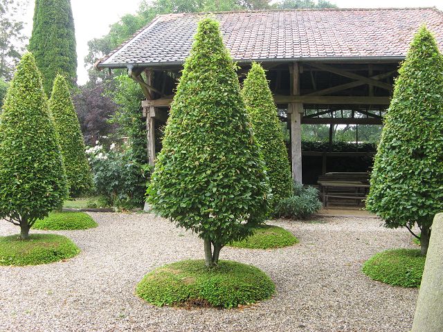 Jardin de Chateau Digéon Picardie Fotos von unseren Gartenreisen