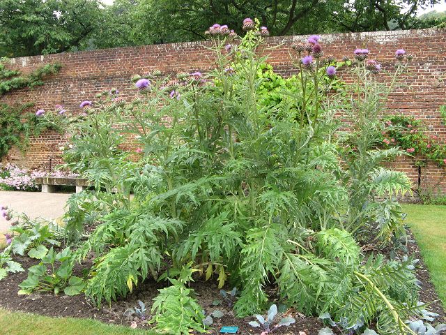 Jardin de Chateau Digéon Picardie Fotos von unseren Gartenreisen